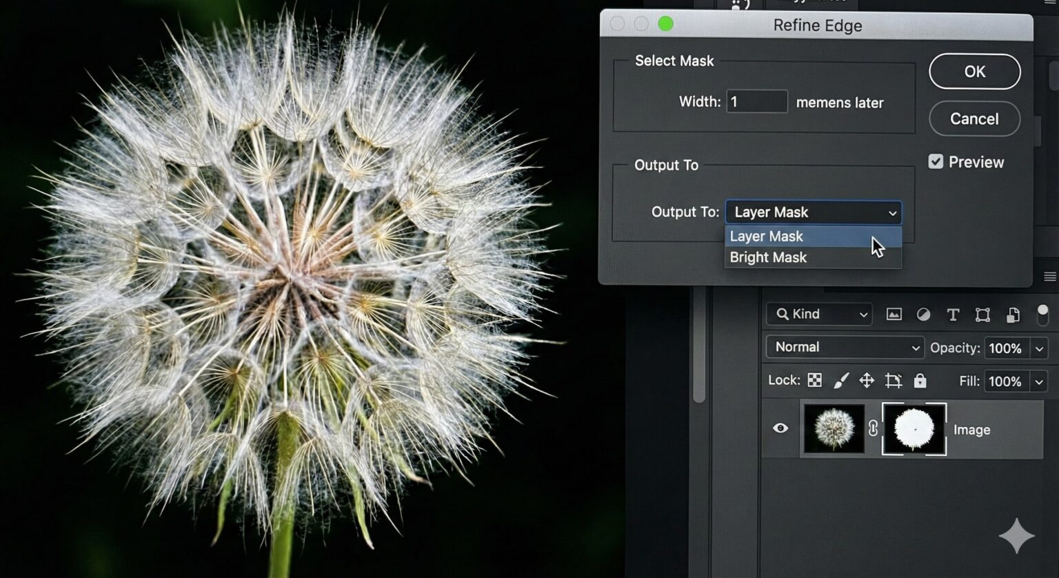 How To Outline An Image In Photoshop (Expert Guide 2026) 🎨
